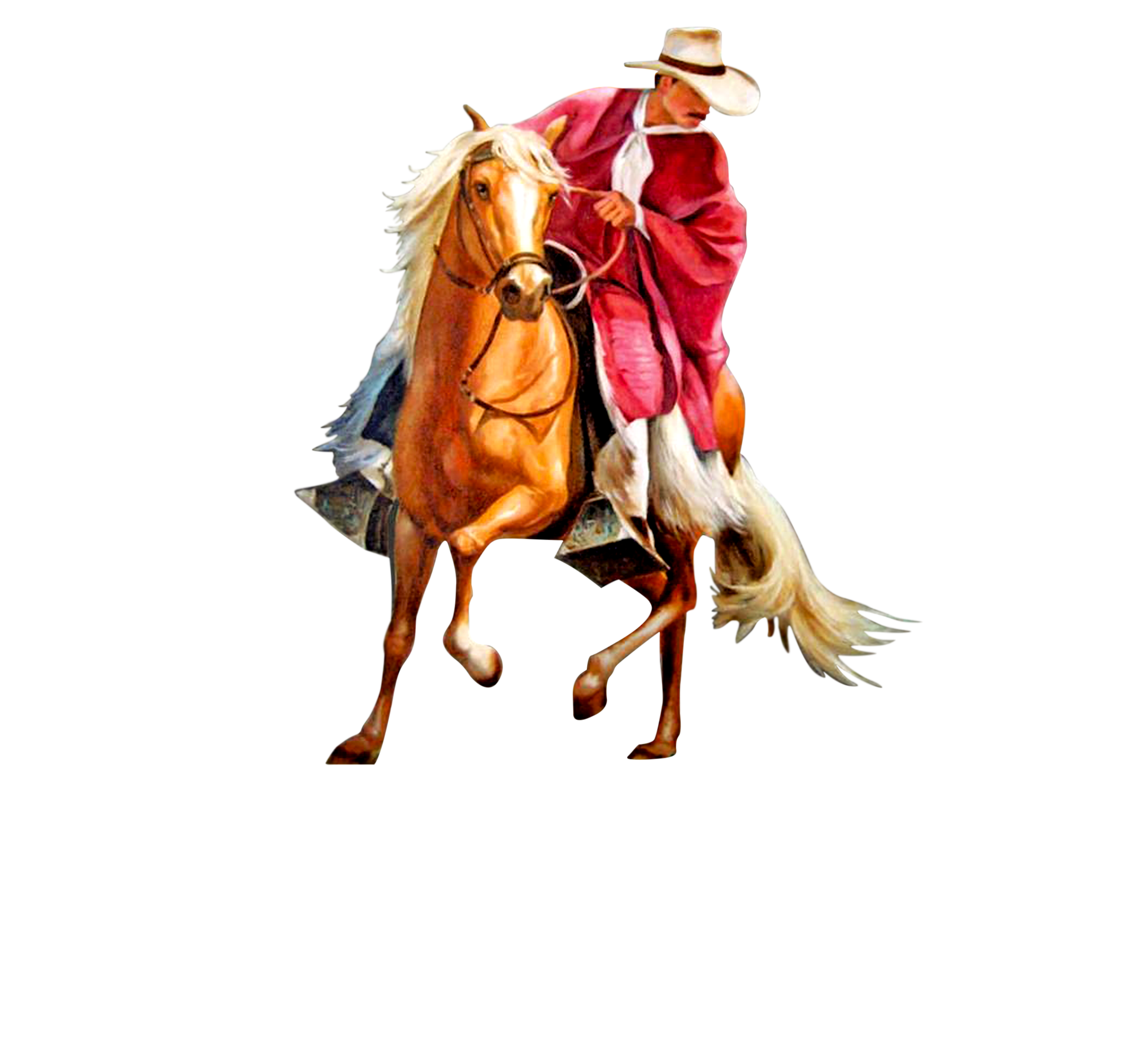 Finochalan | En Fino Chalán podrán disfrutar de la más alta gastronomía ...